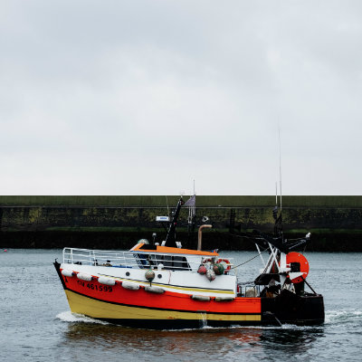 Non-tariff barriers could prove to be a “killer blow” to the Welsh ...