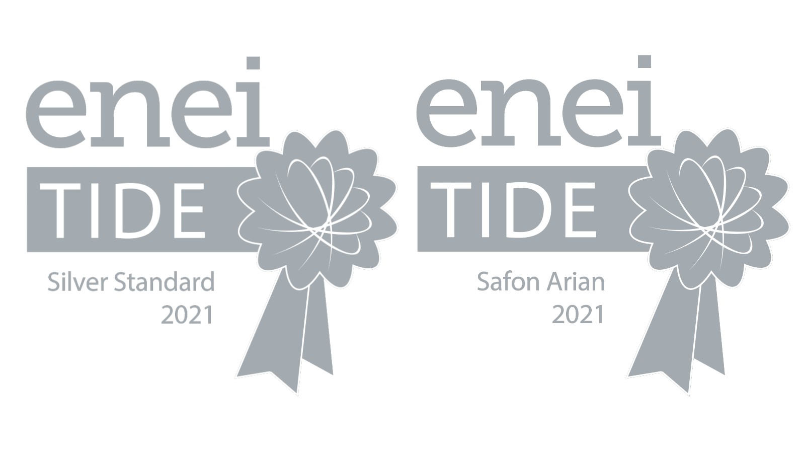 Senedd Commission rewarded for diversity and inclusion monitoring