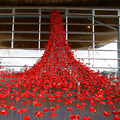 Record visitors flock to the Senedd for the Weeping Window poppies