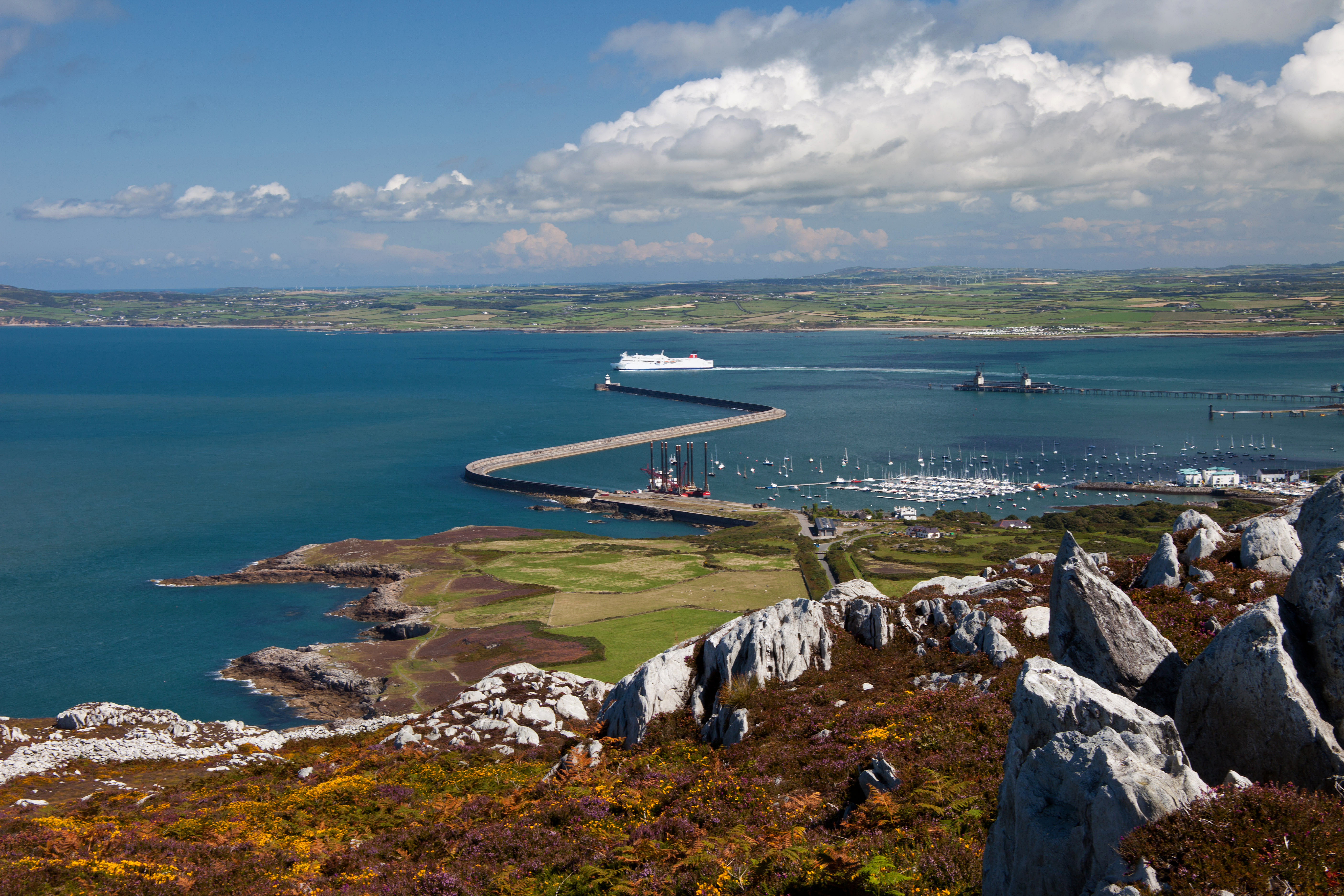 Holyhead Port closure: what happens next?