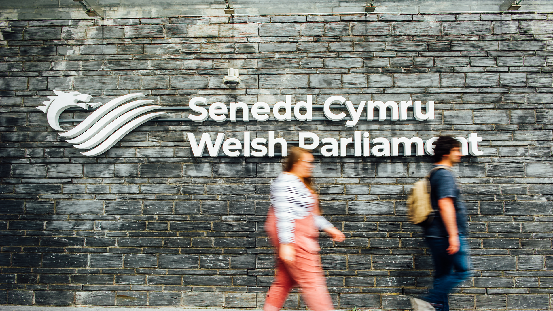 Senedd