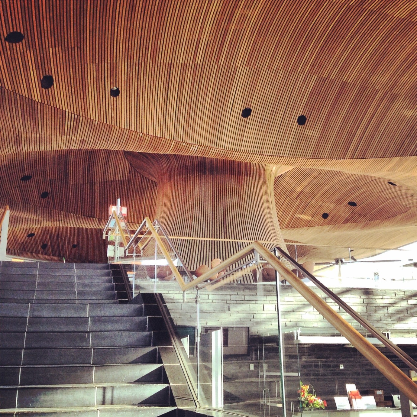 Senedd building named as one of Cardiff’s top three visitor attractions